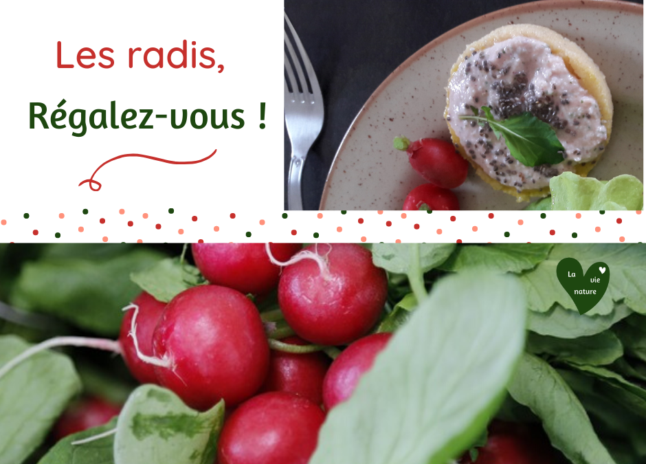 2 versions pour le radis ! - lavie-nature